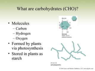 Sports Nutrition_Chapter 3_Carbohydrates | PPT