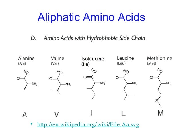 amino asid,peptides and proteins