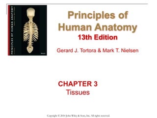 ch03.ppt