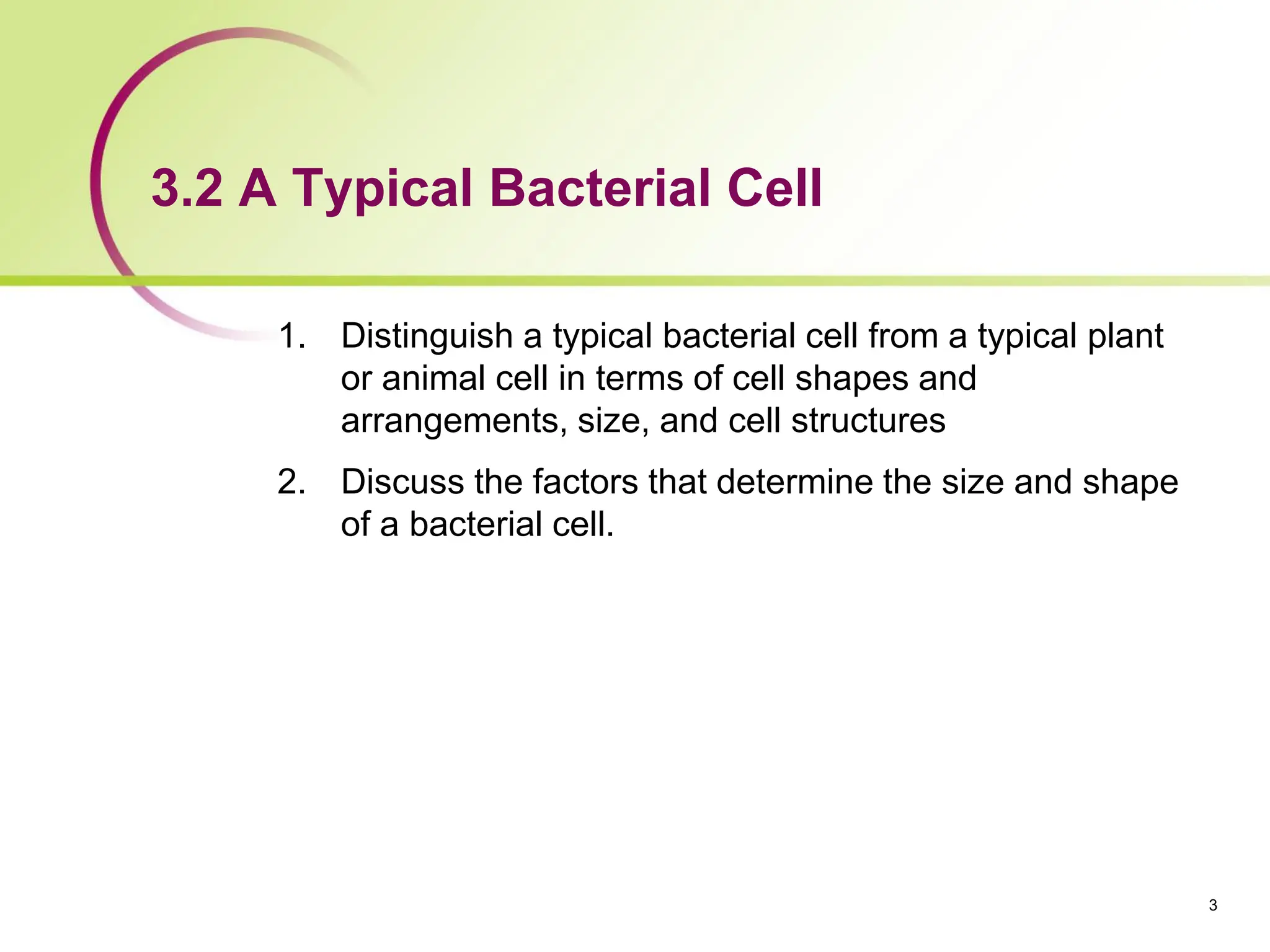 Bacteria cell structure nd complete explanation of | PDF