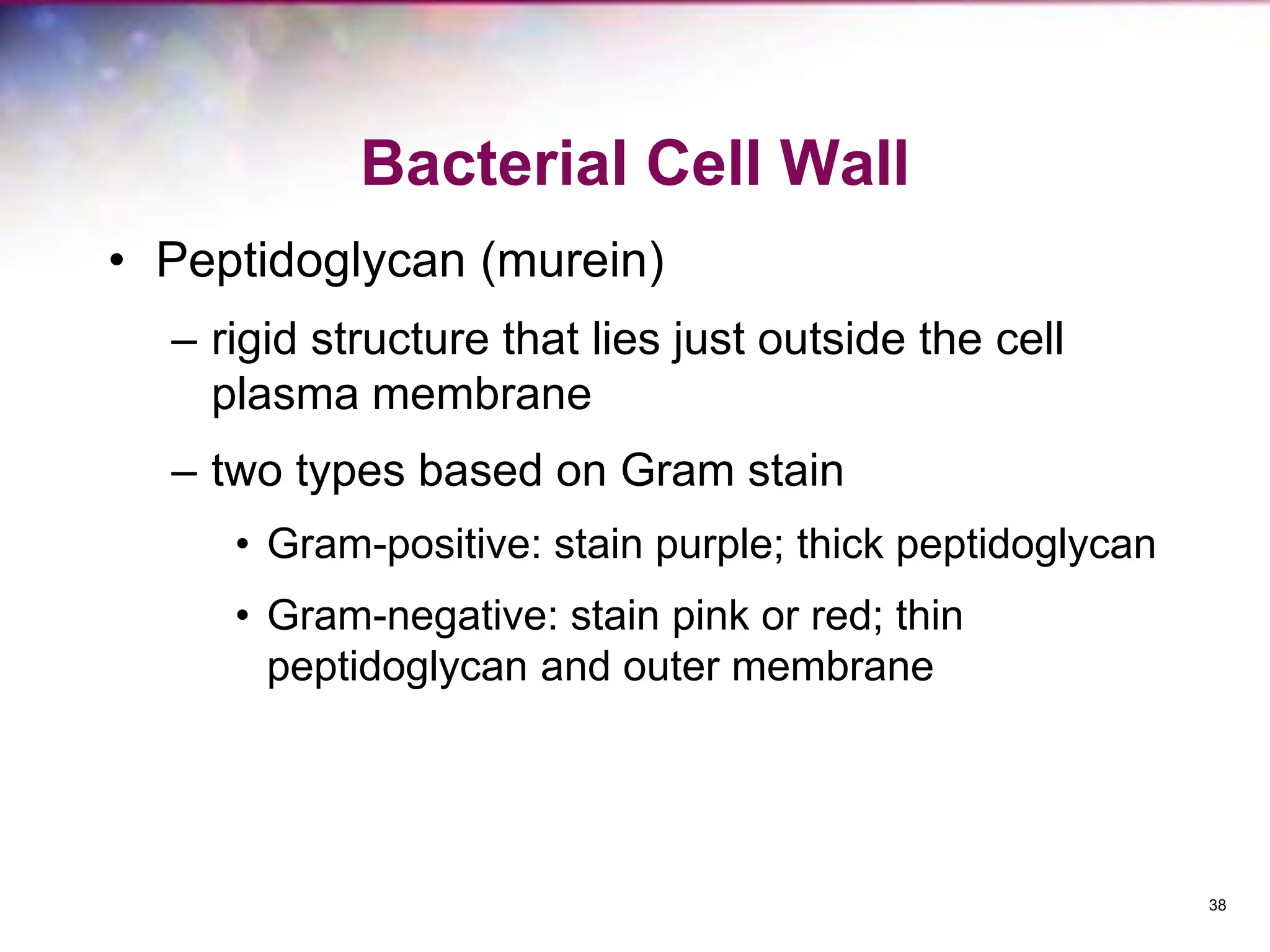 Bacteria cell structure nd complete explanation of | PDF