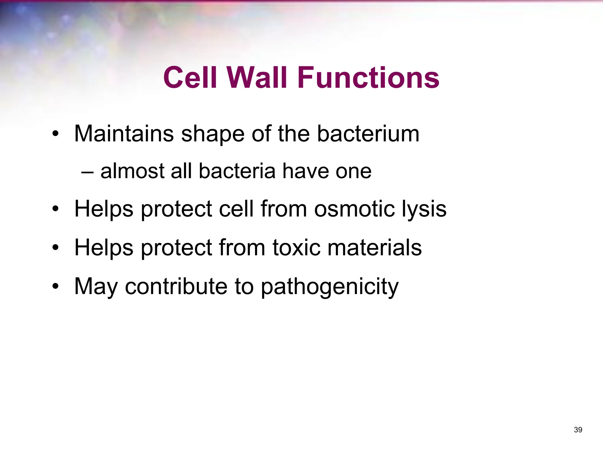 Bacteria cell structure nd complete explanation of | PPT