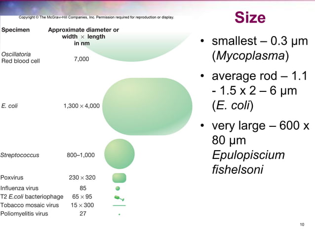 Bacteria cell structure nd complete explanation of | PPT