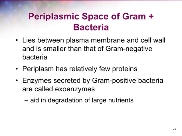 Bacteria cell structure nd complete explanation of | PPT