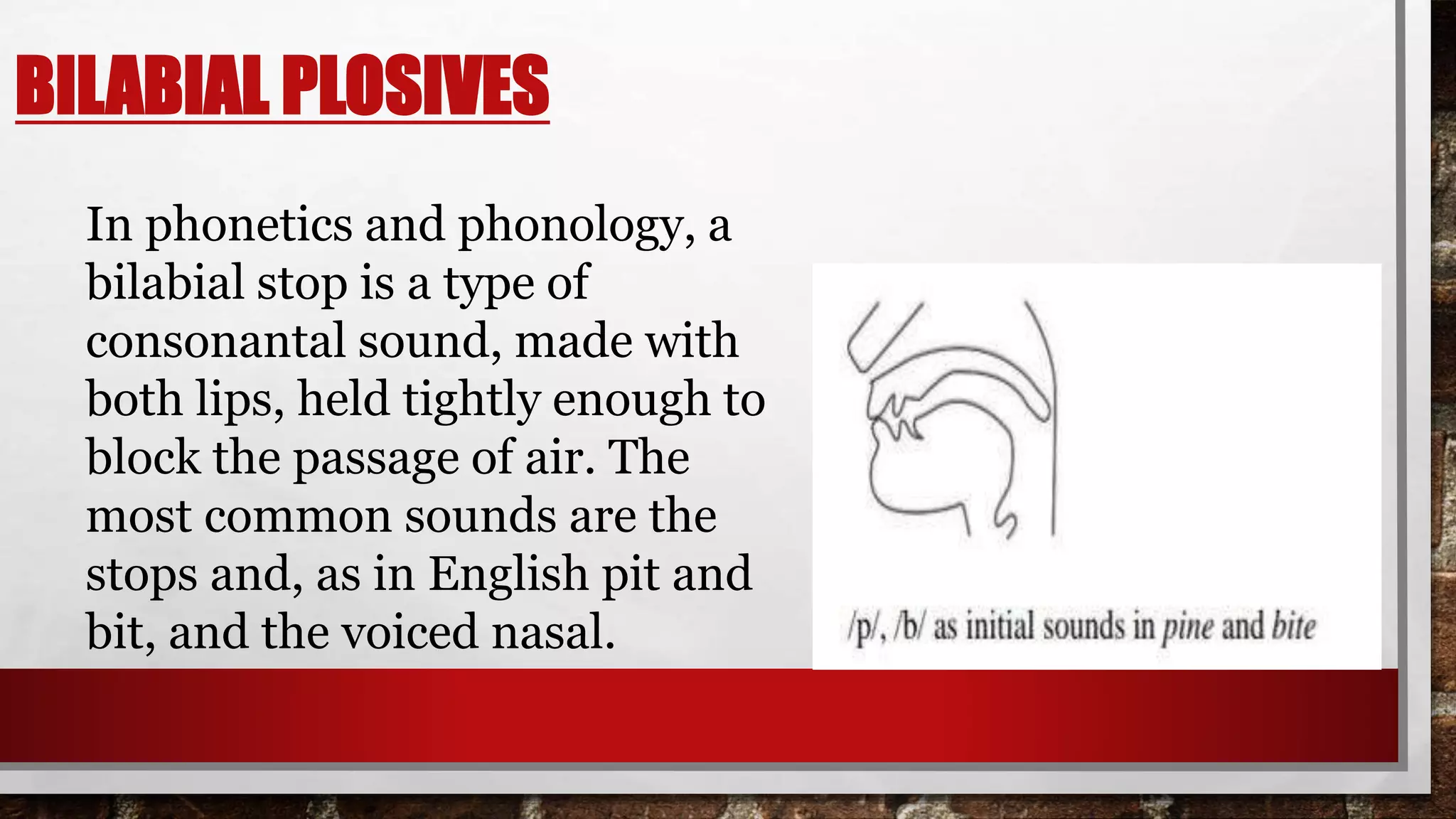 Manners of articulation | PPTX