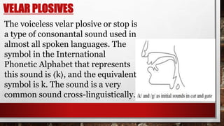 Manners of articulation | PPTX