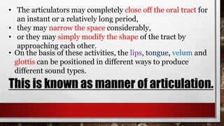 Manners of articulation | PPTX