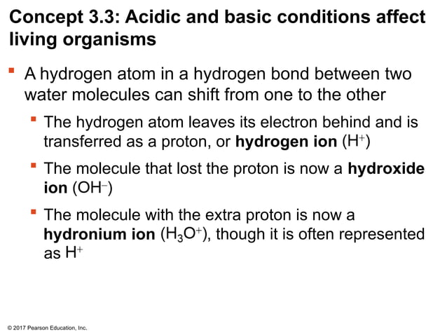 Ch03_Accessible_Lecture_Presentation.pptx