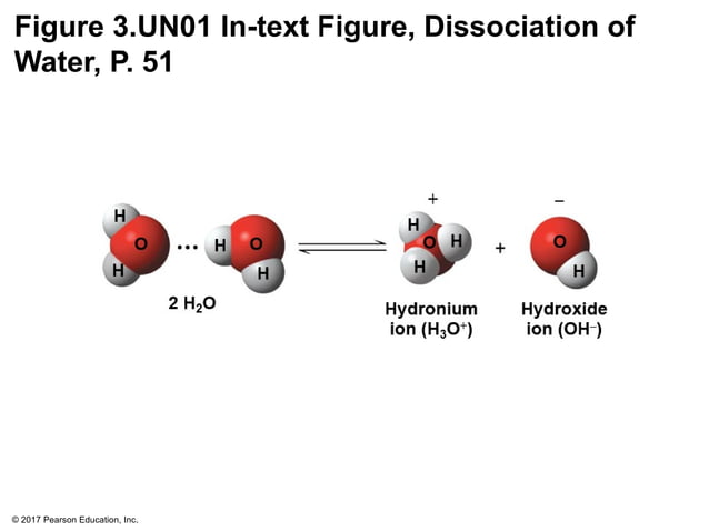 Ch03_Accessible_Lecture_Presentation.pptx