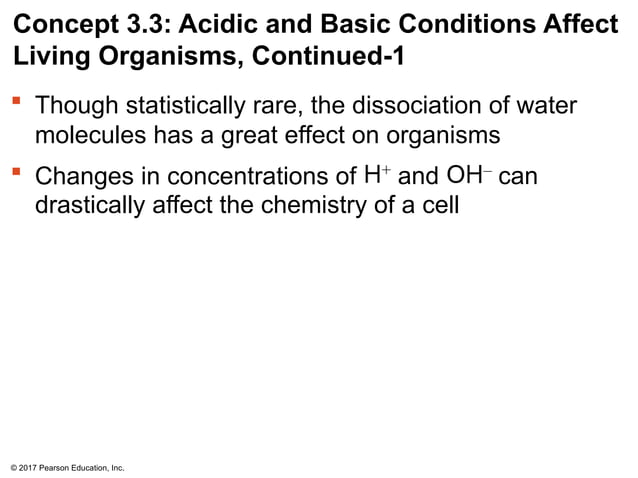 Ch03_Accessible_Lecture_Presentation.pptx