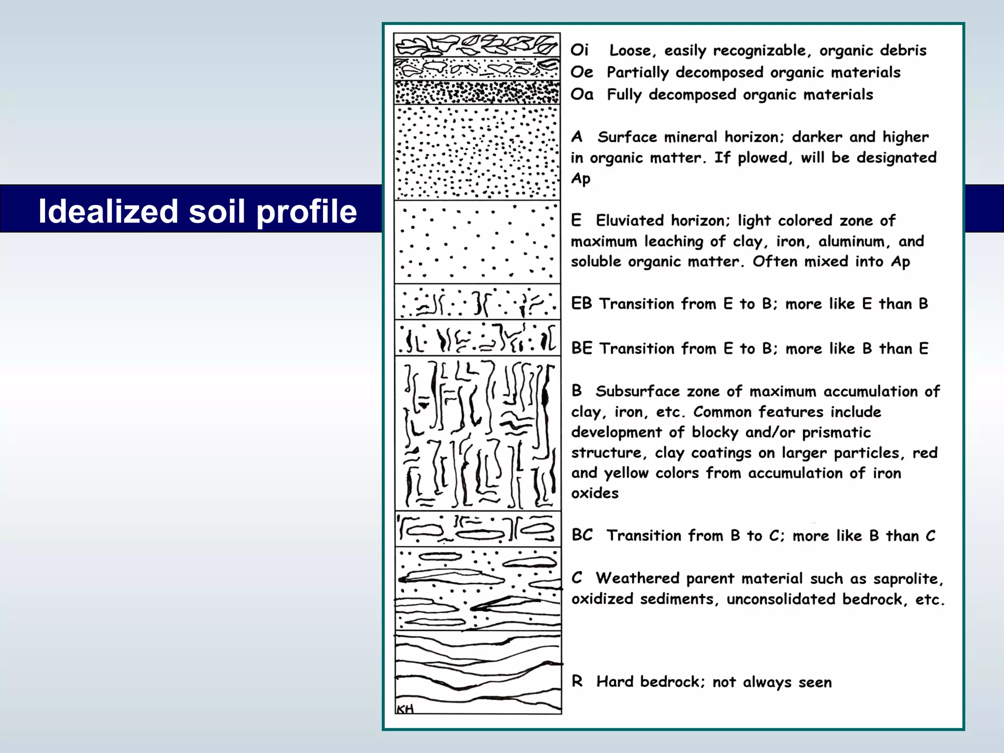 Ch 03 basic soil science (1) | PPT