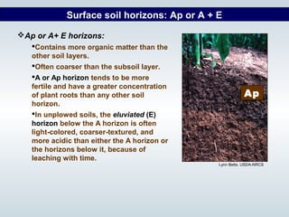 Ch 03 basic soil science (1) | PPT