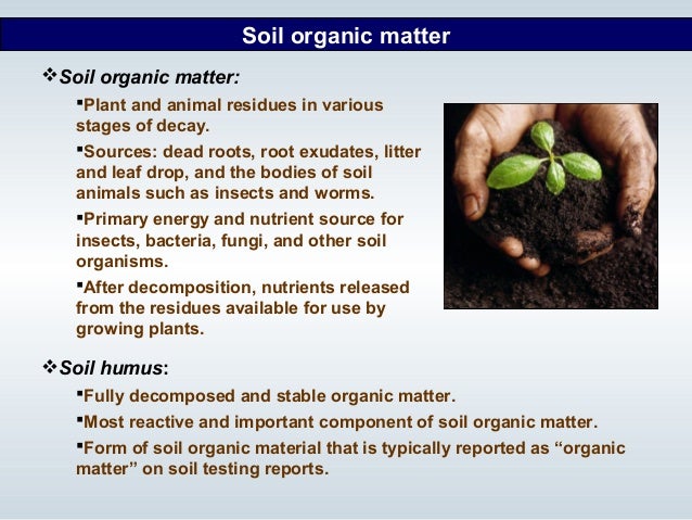 Ch 03 basic soil science (1)