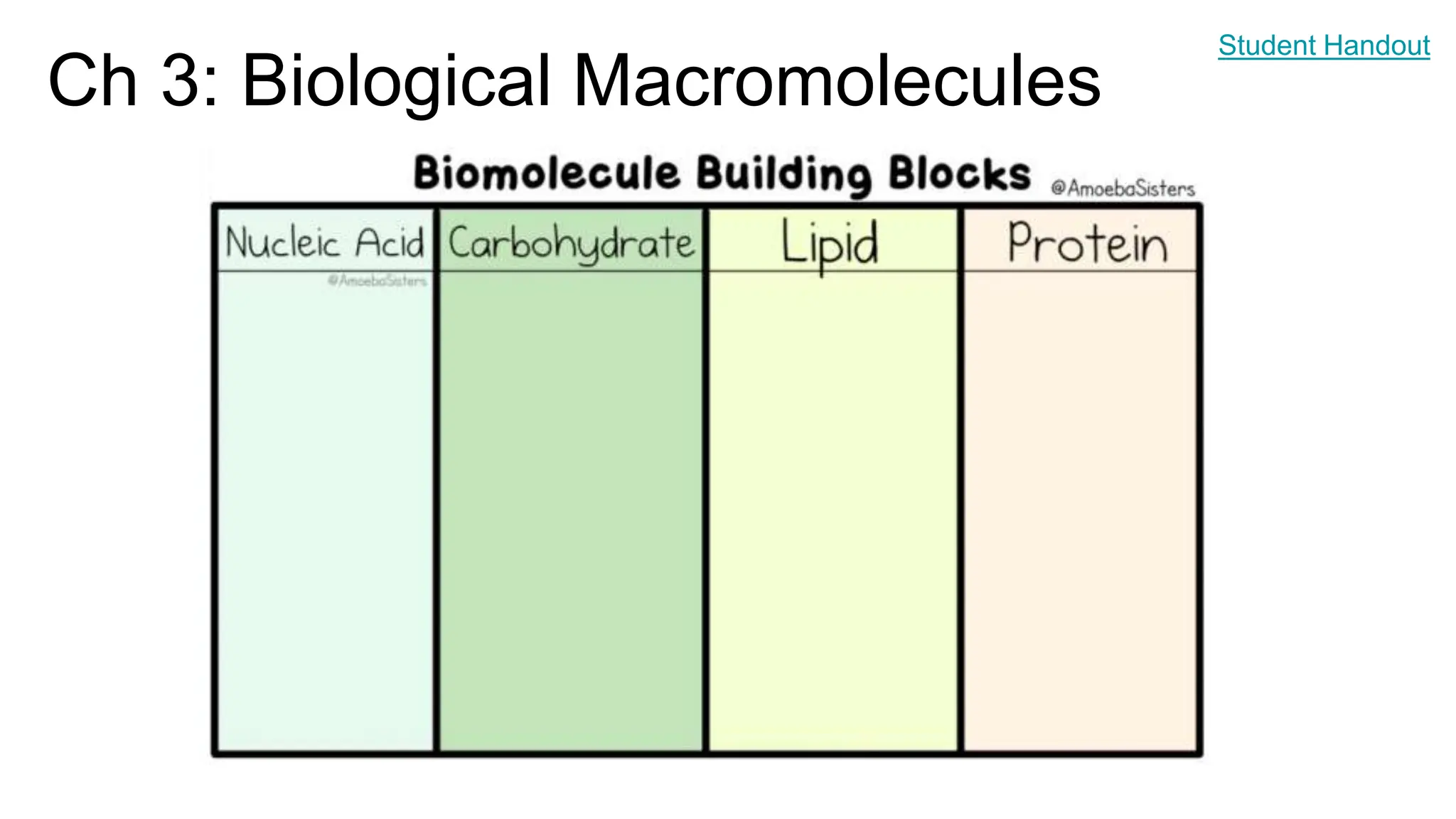 Ch 03 Biological Macromolecules.powerpointptx | PPT