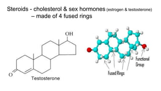 Ch 03 Biological Macromolecules.powerpointptx | PPT | Free Download