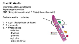quarter 1 Physical Science: Biological Macromolecules.pptx