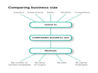 CH03 Enterprise, Business Growth and Size.pptx