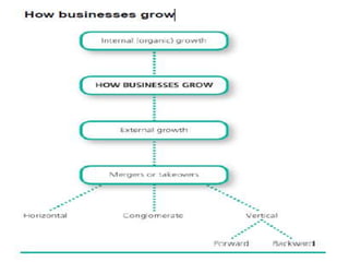 CH03 Enterprise, Business Growth and Size.pptx