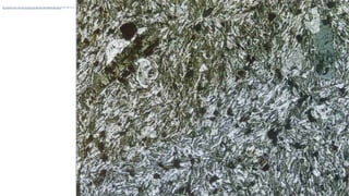 Trachytic Texture