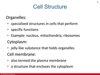 Ch03 lecture ppt_a | PPTX