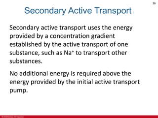 Ch03 lecture ppt_a | PPTX