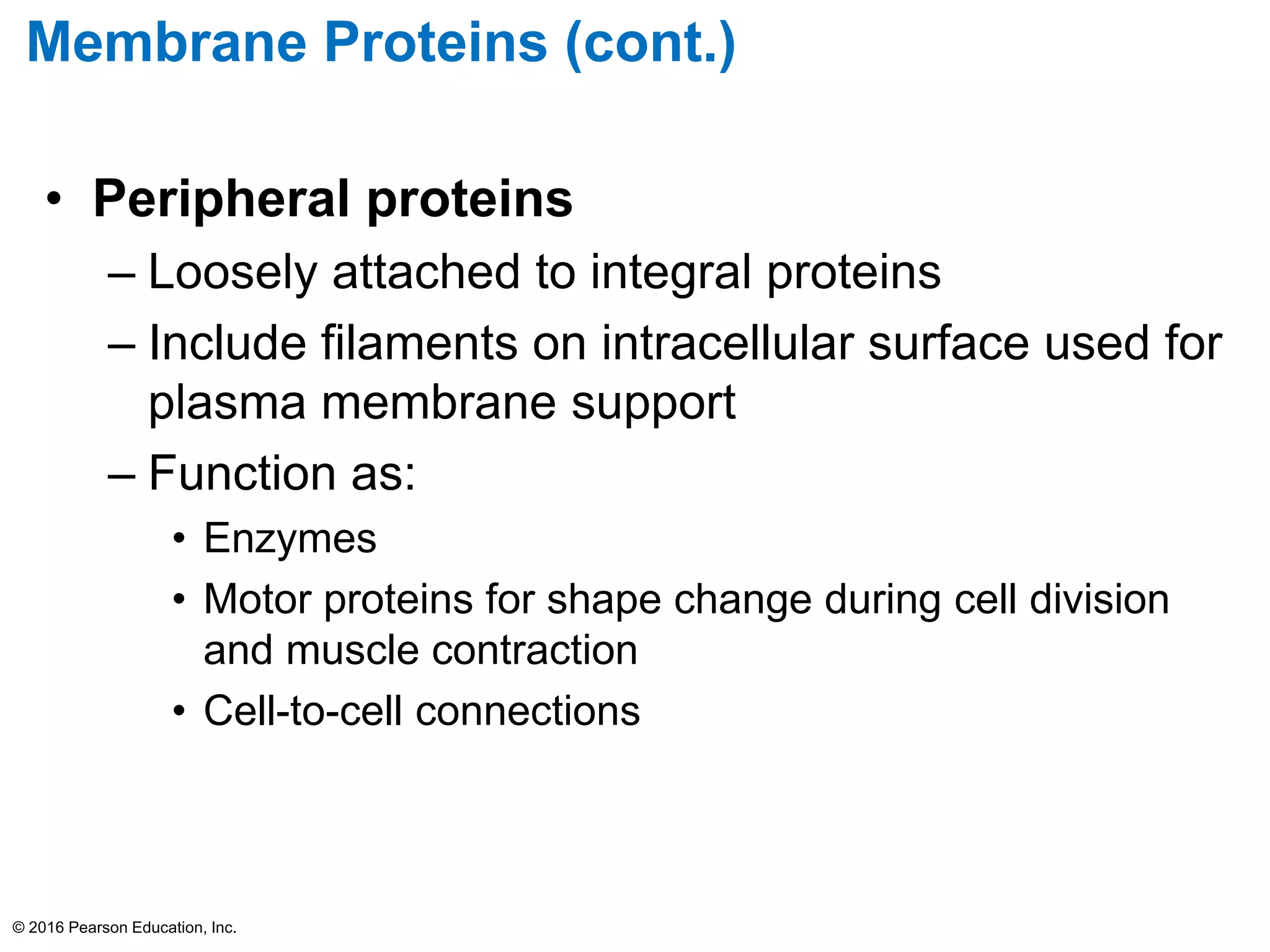 Ch 03 lecture_presentation_a | PPTX