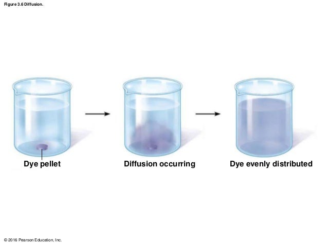 Ch 03 lecture_presentation_a