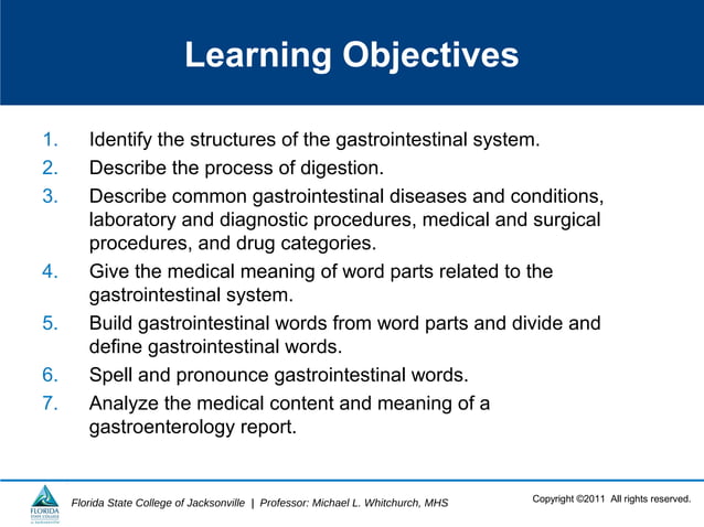 Digestive System Terminology | PPT