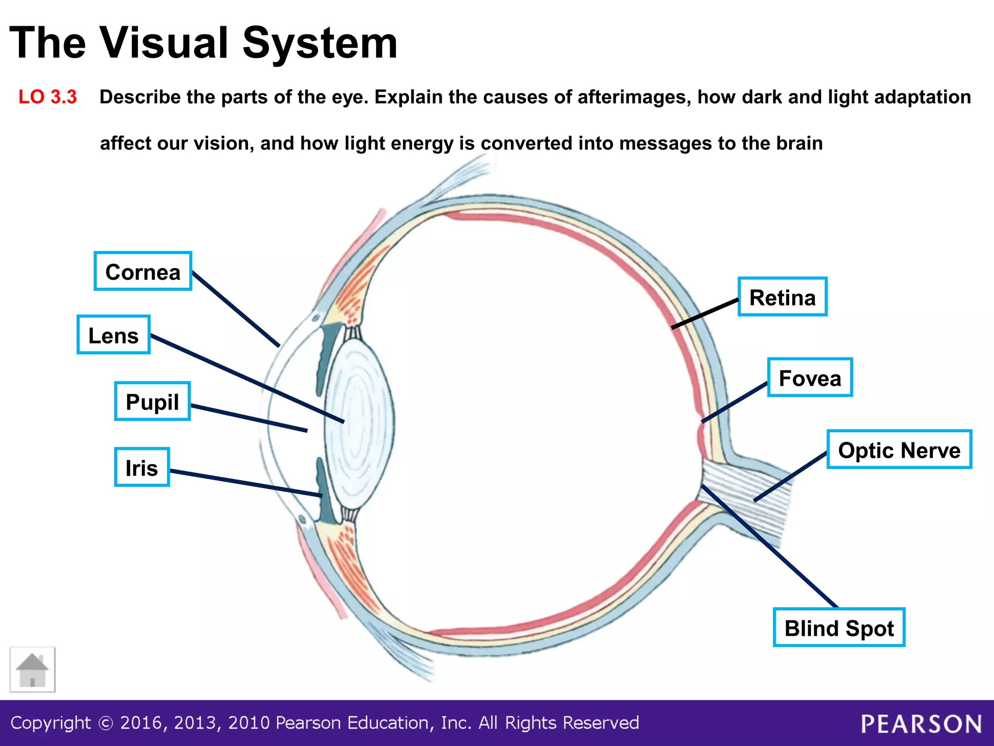 Psychology Chapter 3 Introduction | PPT