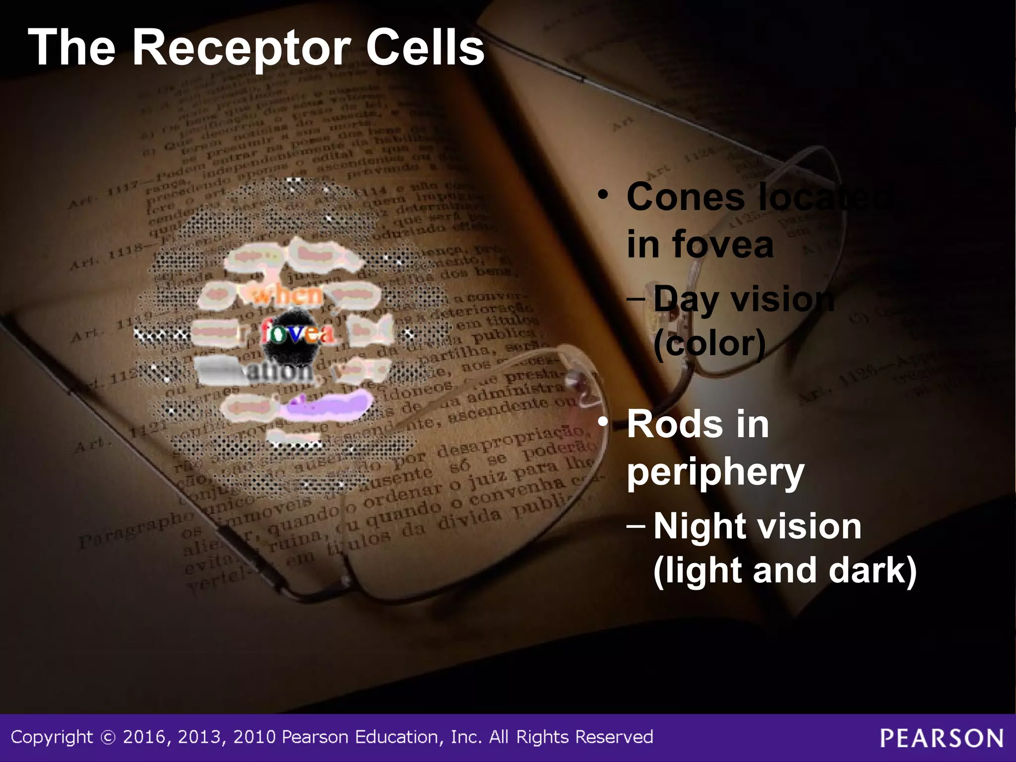 Psychology Chapter 3 Introduction | PPT