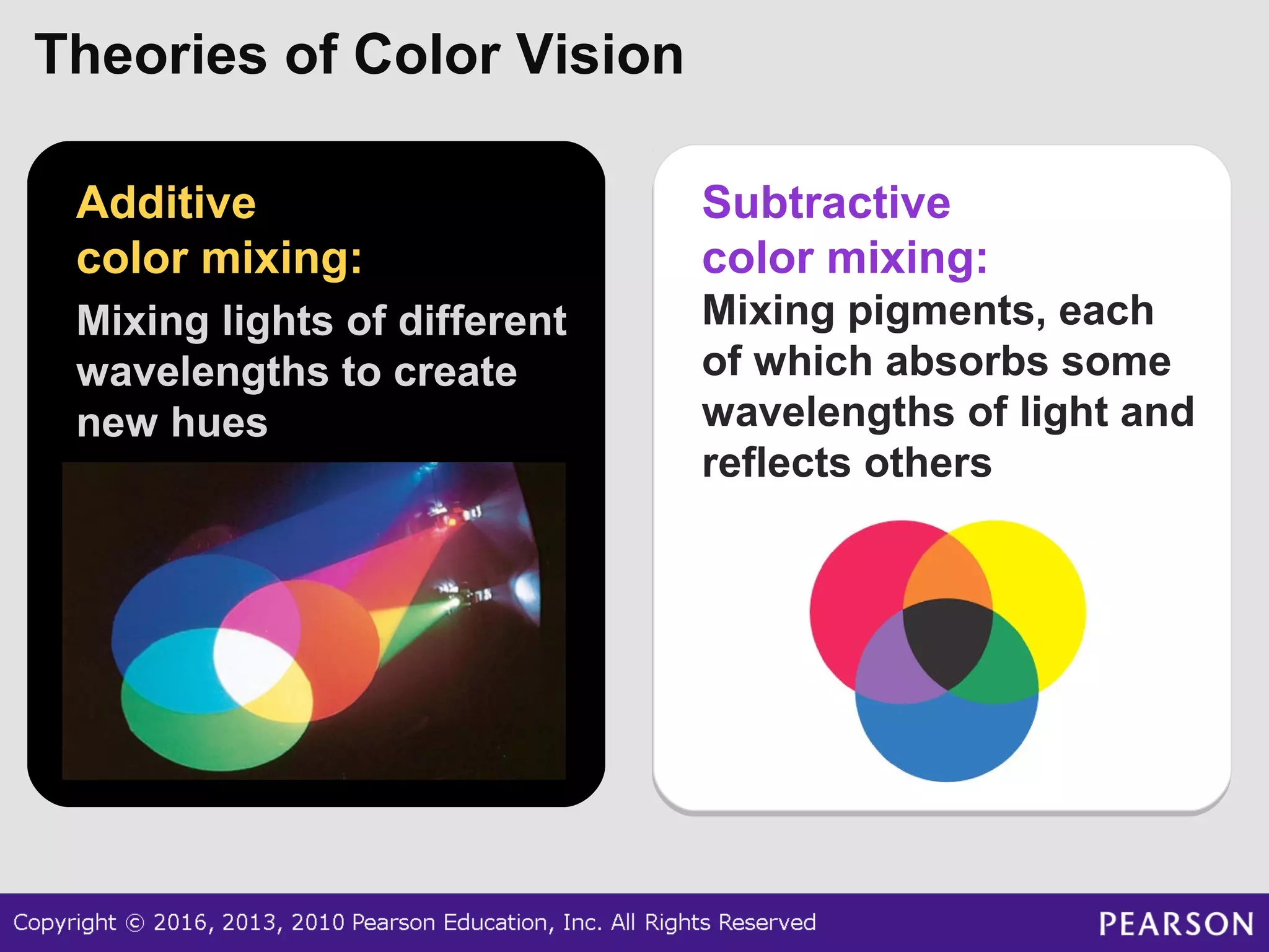Psychology Chapter 3 Introduction | PPT