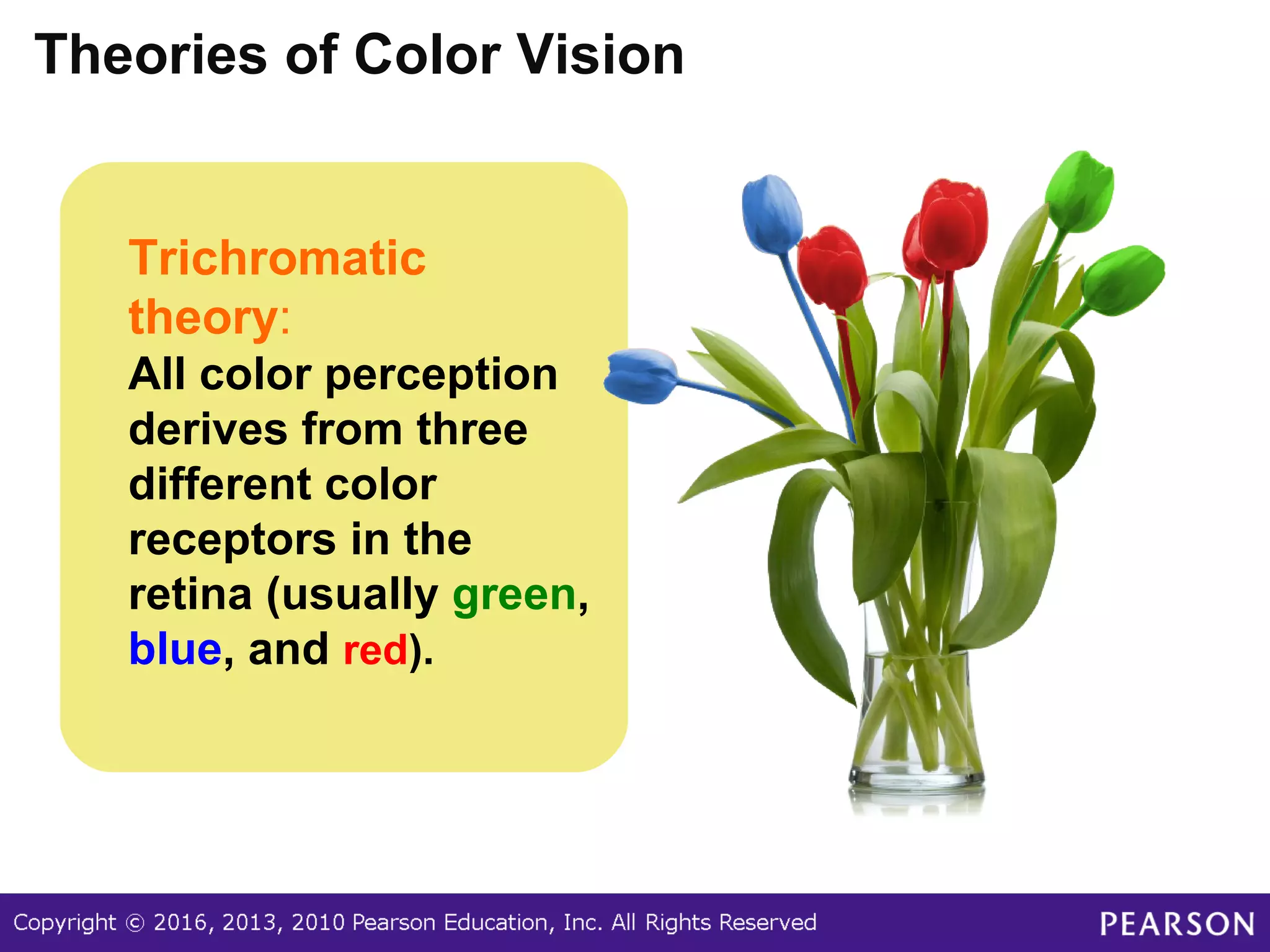 Psychology Chapter 3 Introduction | PPT