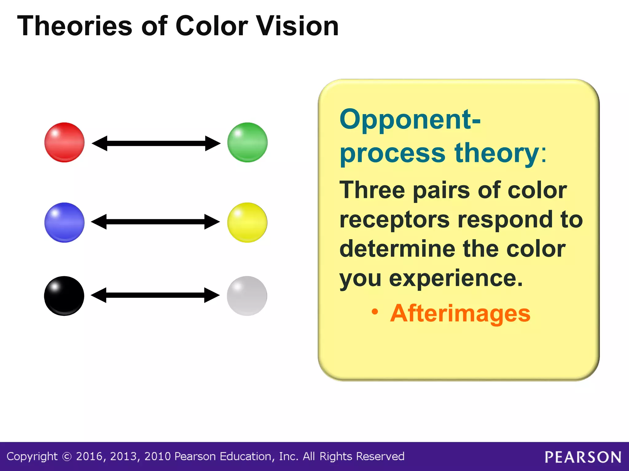 Psychology Chapter 3 Introduction | PPT