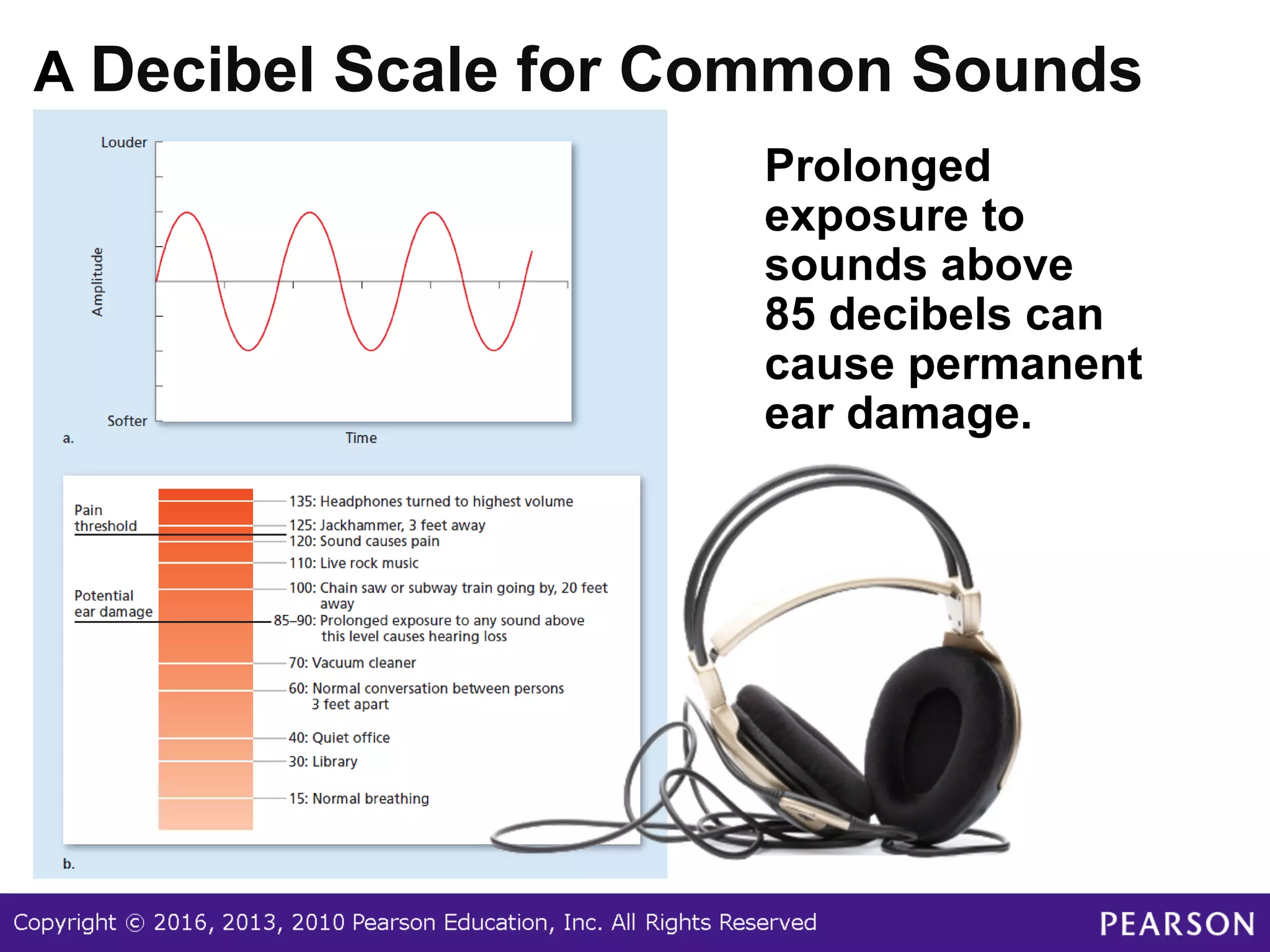 Psychology Chapter 3 Introduction | PPT
