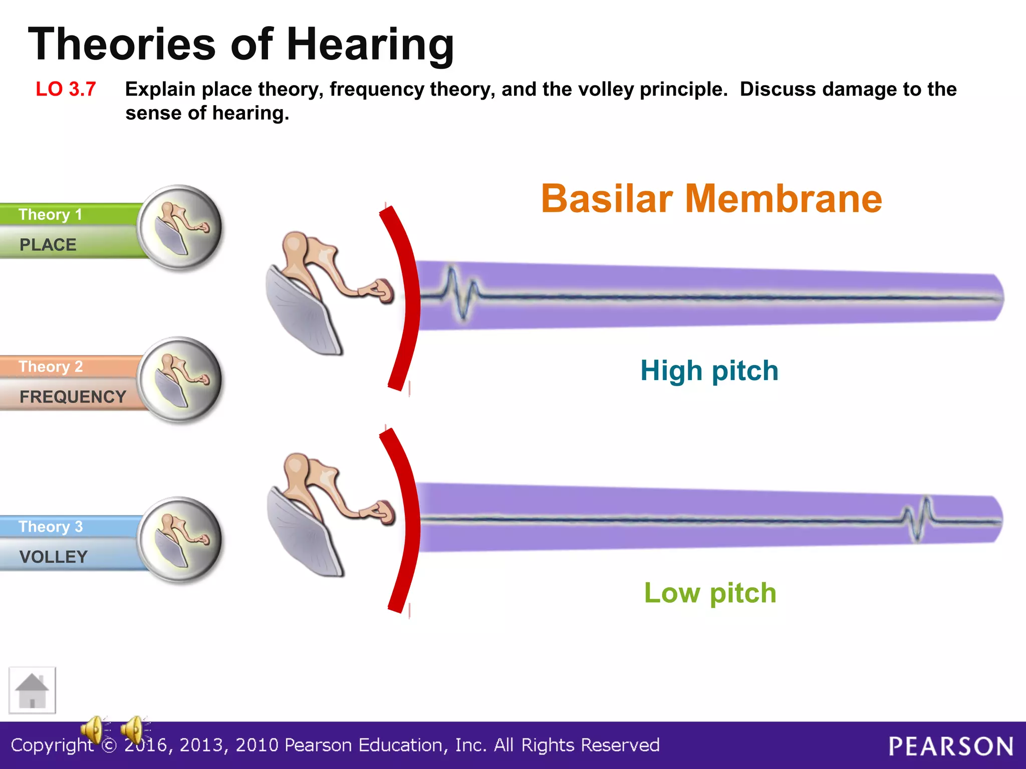 Psychology Chapter 3 Introduction | PPT