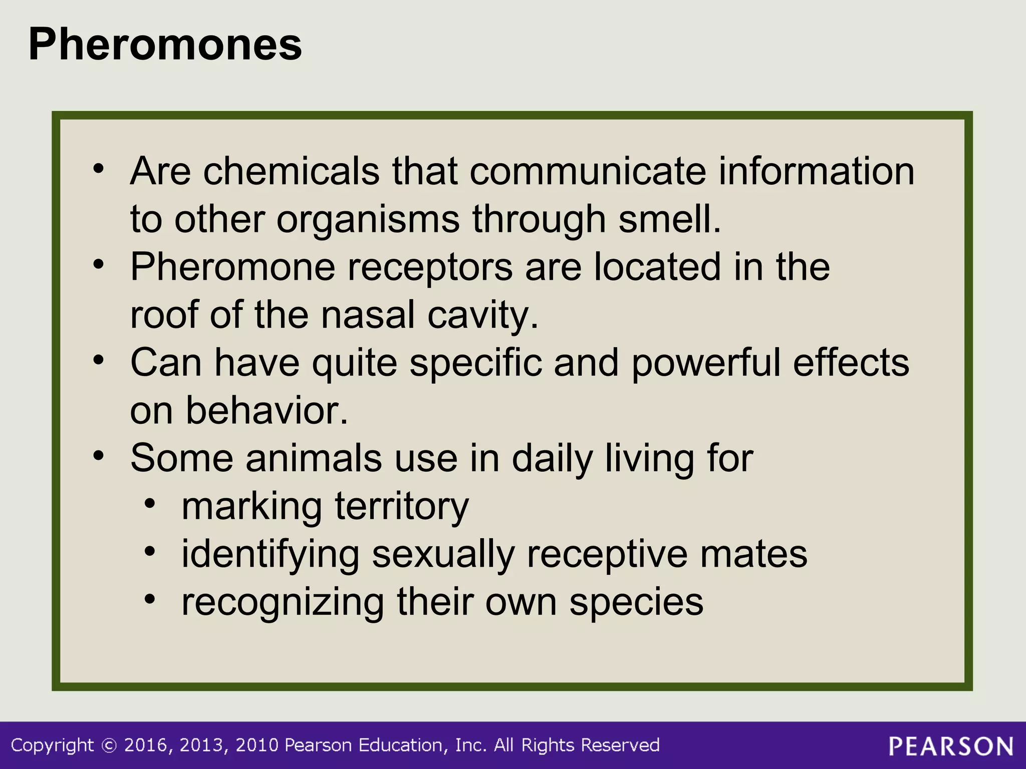 Psychology Chapter 3 Introduction | PPT