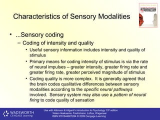 Lecture2:Chapter 4 Sensation - Dr.Naif AlMutawa | PPT