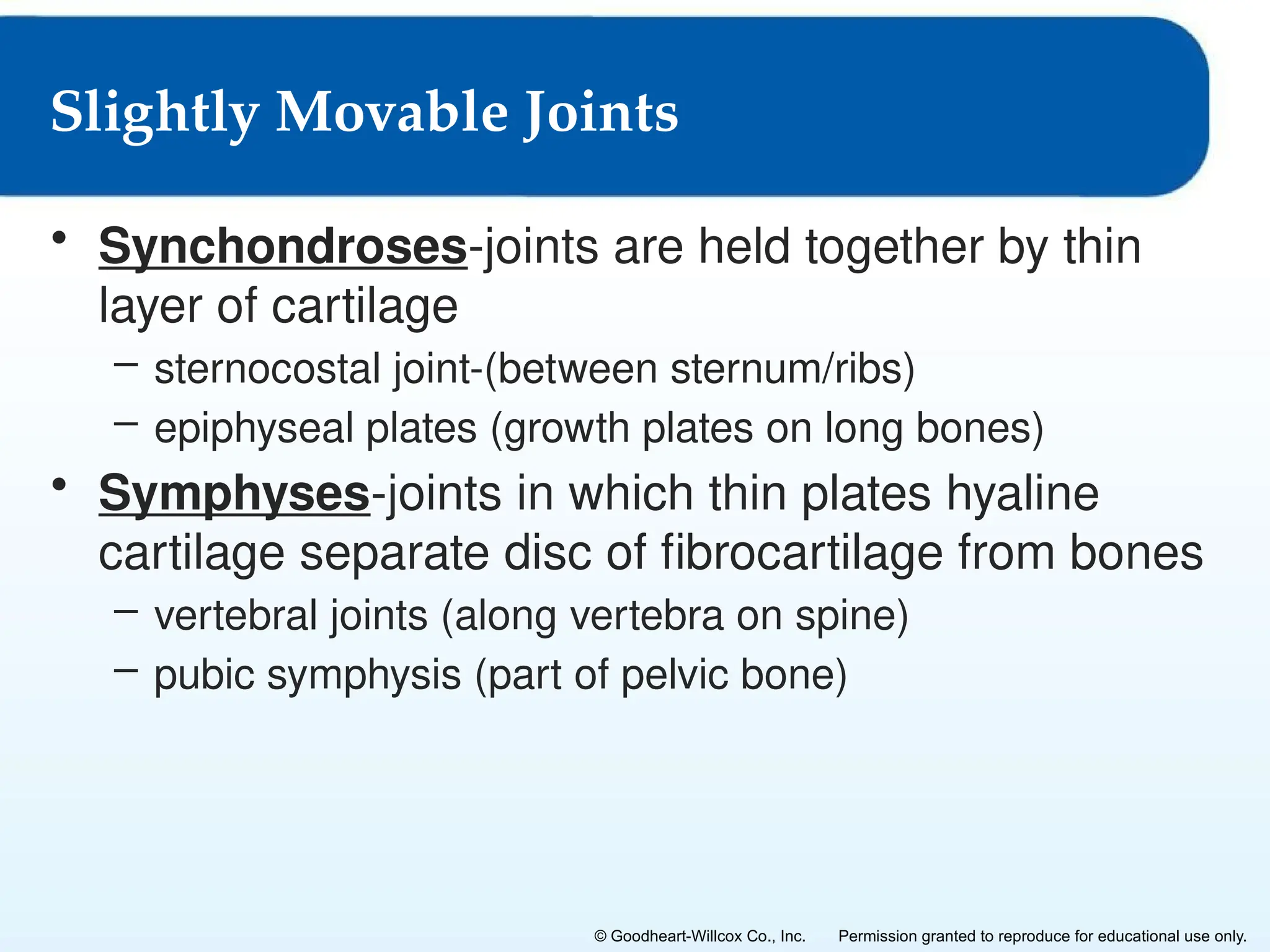 ch04-ch04_presentation.pptxGDGNGXDFDFNZG | PPTX