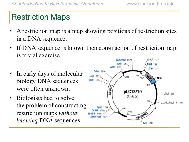 Ch04 Dna Mapping