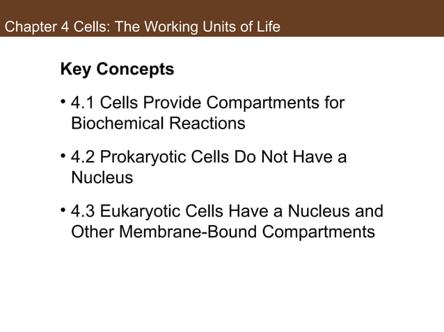 AP Biology Chapter 4 Cells Notes | PPT