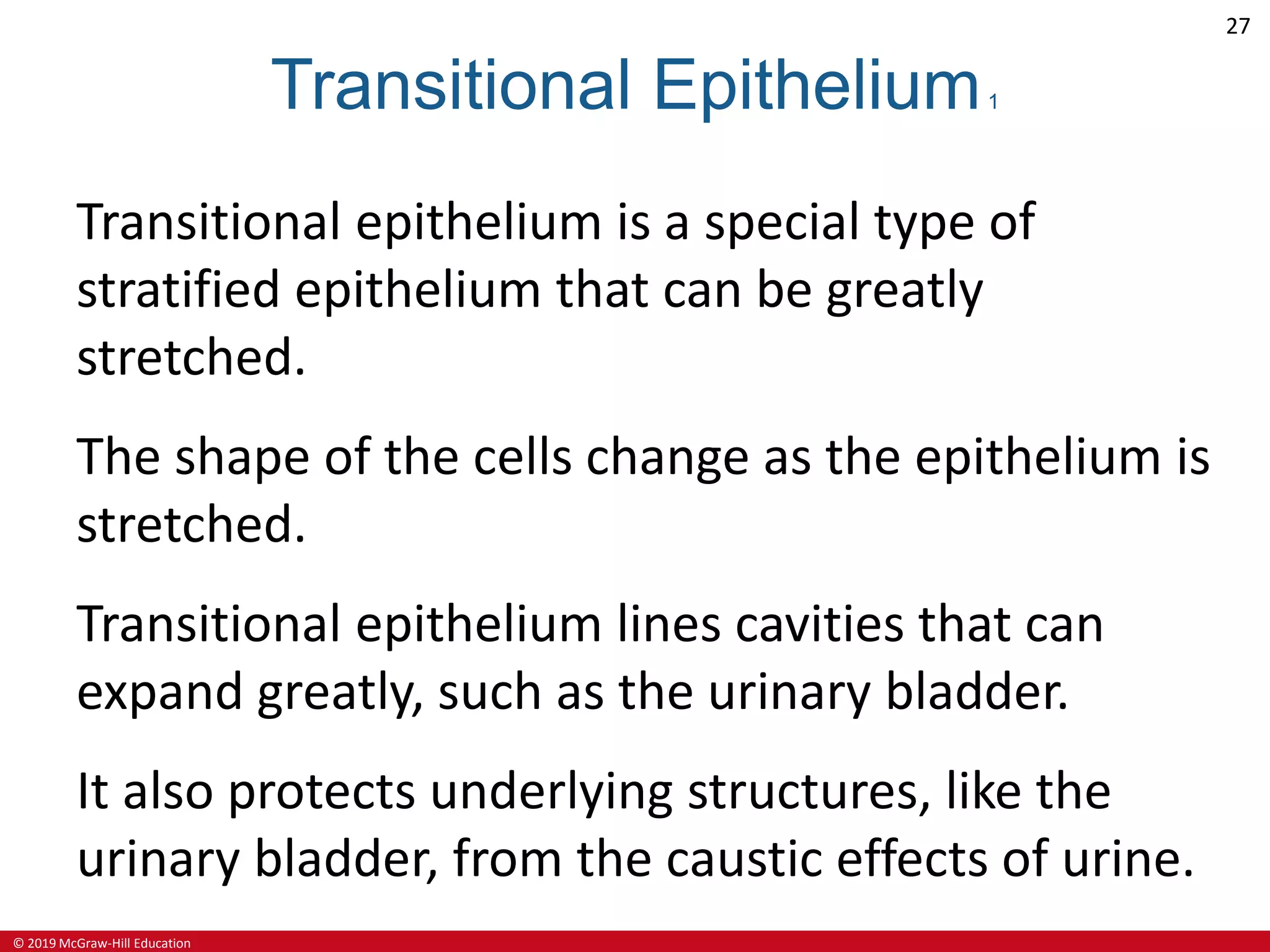 Ch04 lecture ppt_a | PPTX