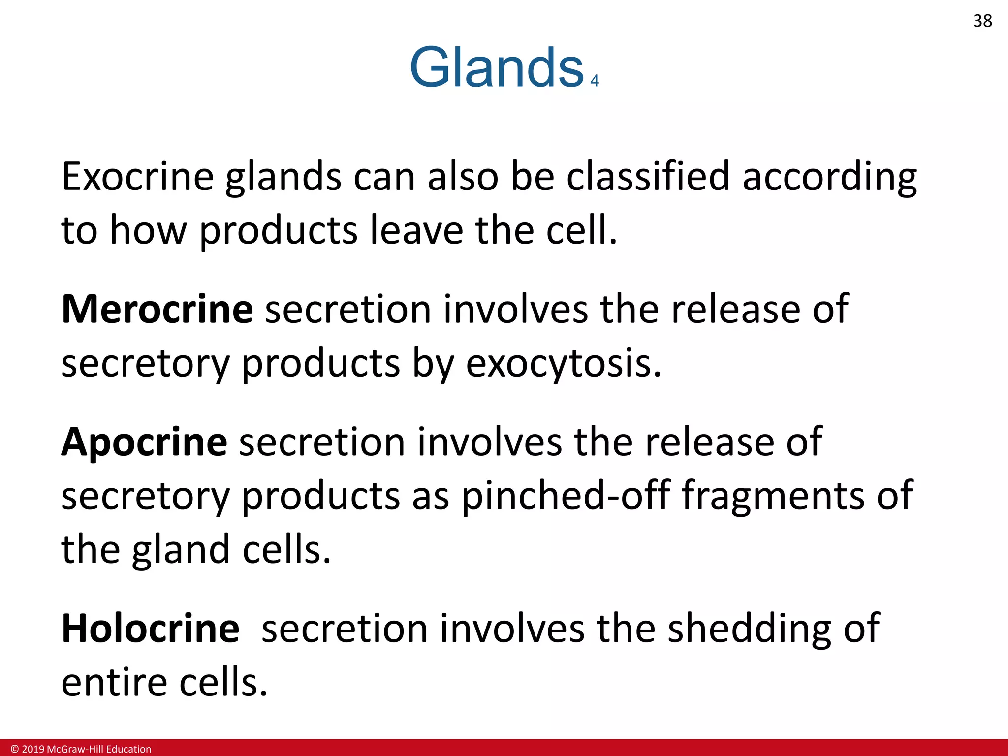 Ch04 lecture ppt_a | PPTX