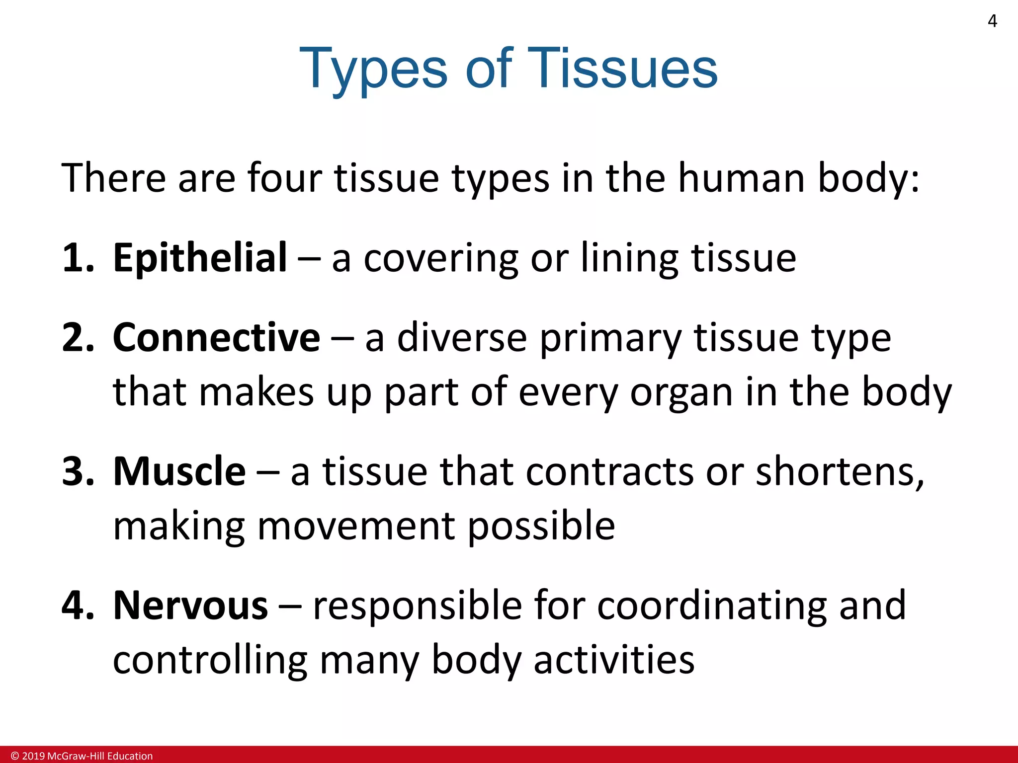 Ch04 lecture ppt_a | PPTX