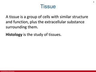 Ch04 lecture ppt_a | PPTX | Biological Sciences | Science