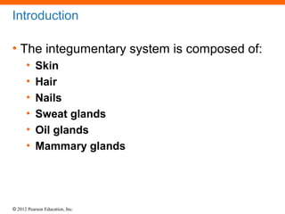 Ch04lecturepresentation 140913123323-phpapp01 | PPT