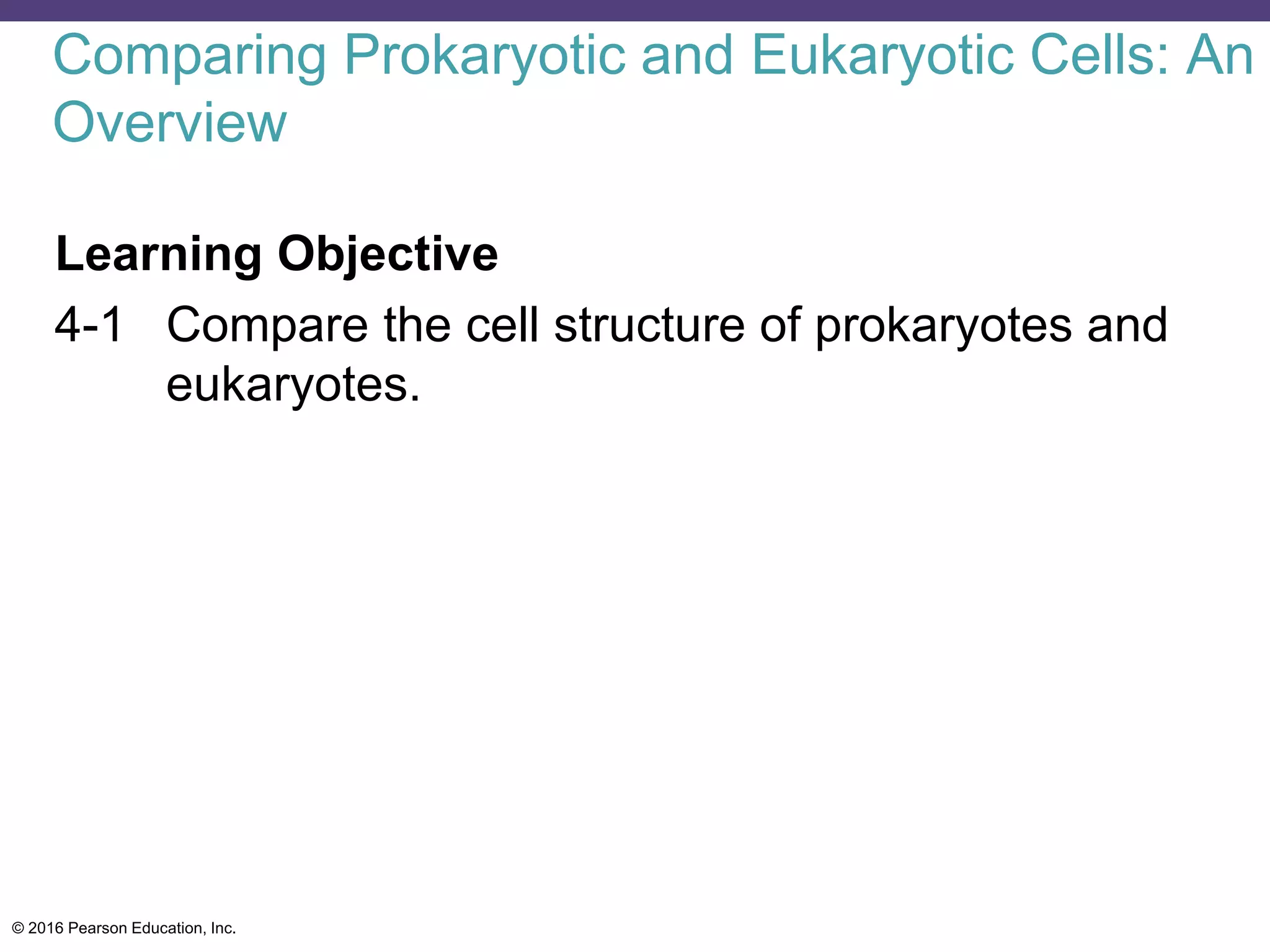 Ch 04_lecture_presentation | PPTX