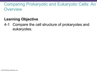 Ch 04_lecture_presentation | PPTX