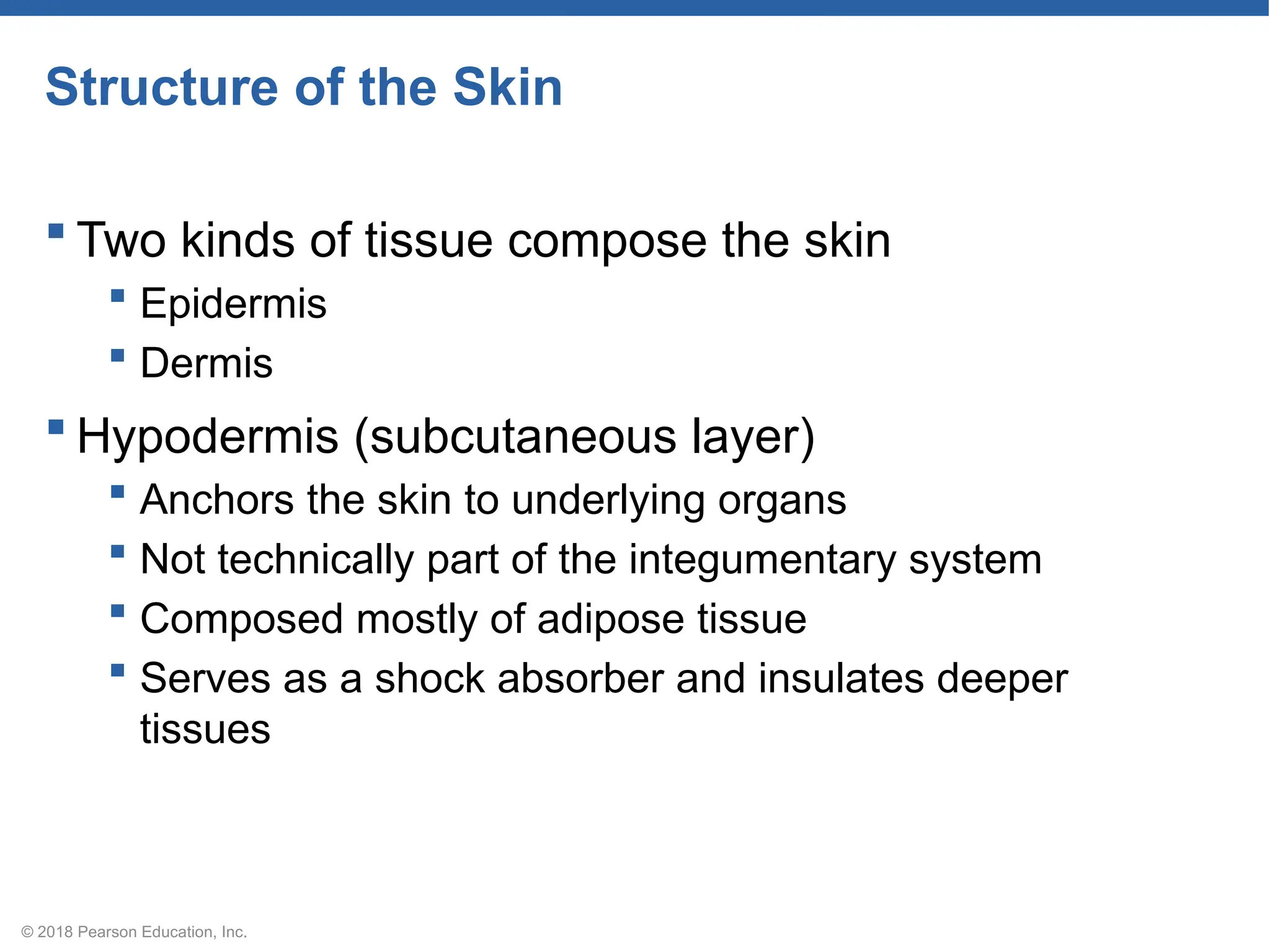 _ch_04_lecture_presentation of integumentary.pptx
