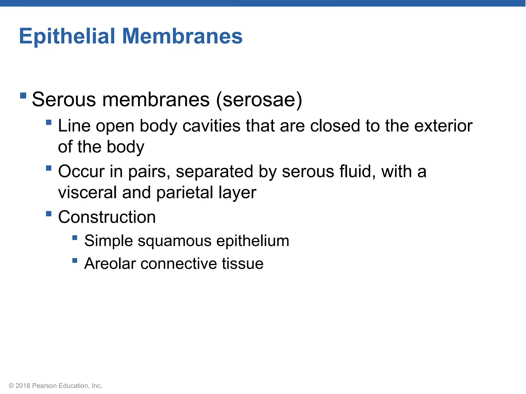 _ch_04_lecture_presentation of integumentary.pptx