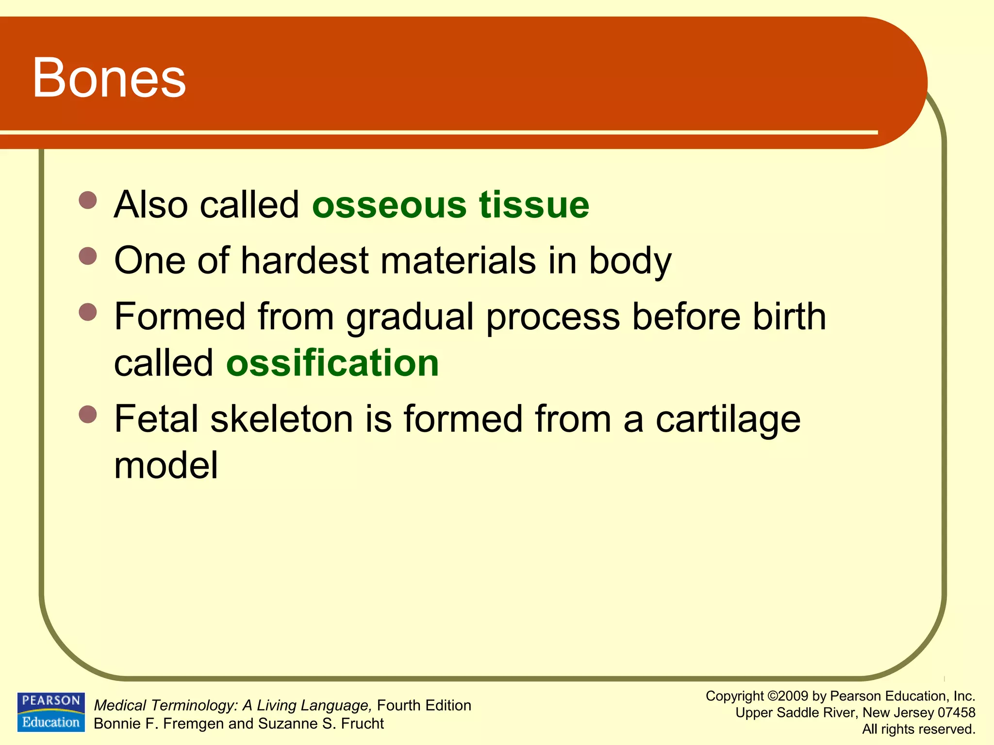 Ch04 musculoskeletal system | PPT